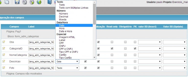 Configurando campo do tipo data em formulários - Avant Soluções